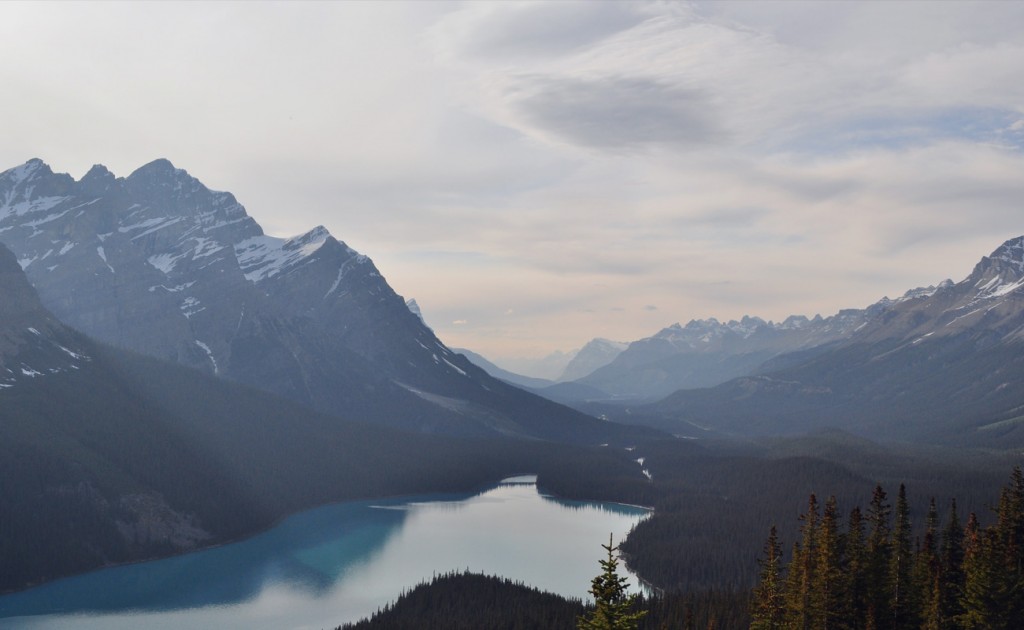 swiss – Kendall Patrick